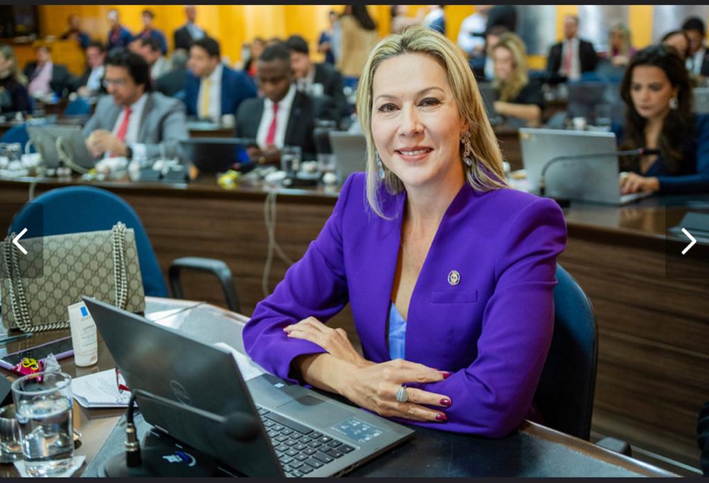 Mês da advocacia: conheça o trabalho da conselheira seccional Fernanda ... Mês da advocacia: conheça o trabalho da conselheira seccional Fernanda ...